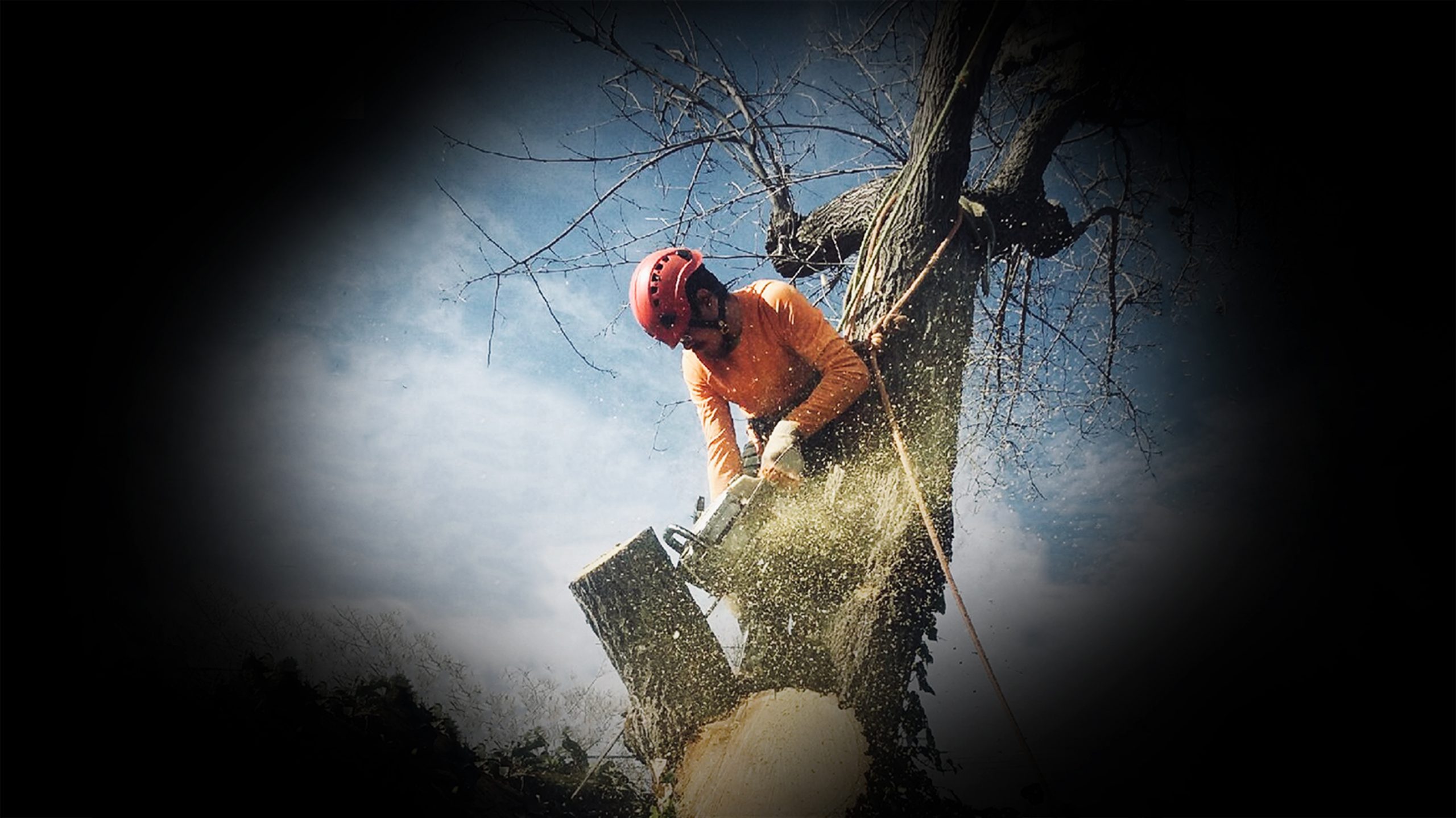 Our Work – San Jose Yard Cleanup