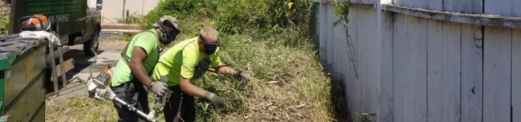 Plant Removal – San Jose Yard Cleanup